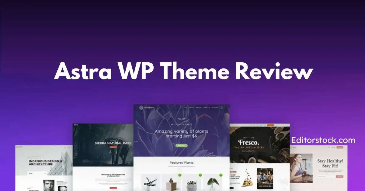 Astra WordPress Theme Review 2024 - Editorstock